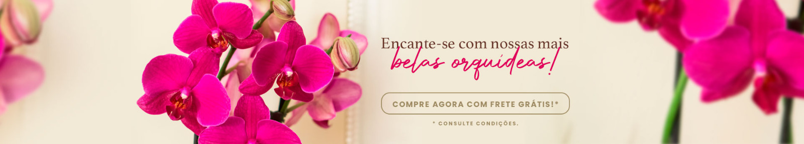 Entrega de Flores no RJ e Todo o Brasil | Rio de Flores